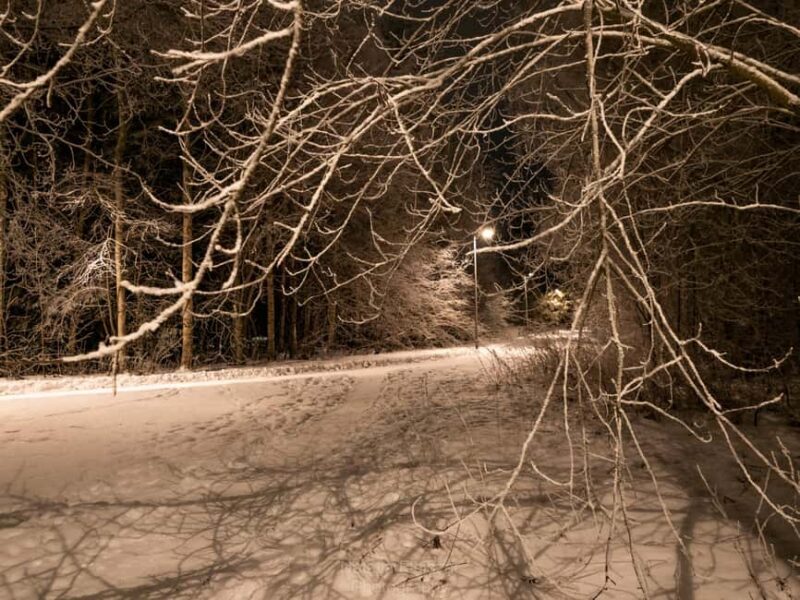 Oulu: Guided Night Walking Tour with Northern Lights Hunting - Who Will Love This Tour?