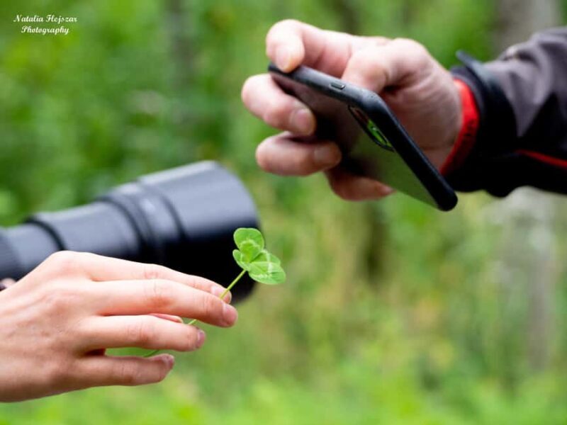 Oulu: Hietasaari Family Nature Walk with Picnic - Who Will Love This Experience?
