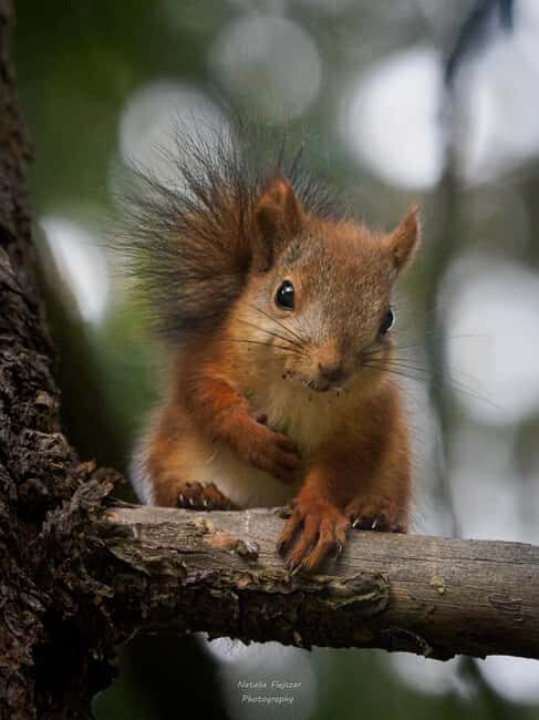 Oulu: Hietasaari Family Nature Walk with Picnic - Final Thoughts