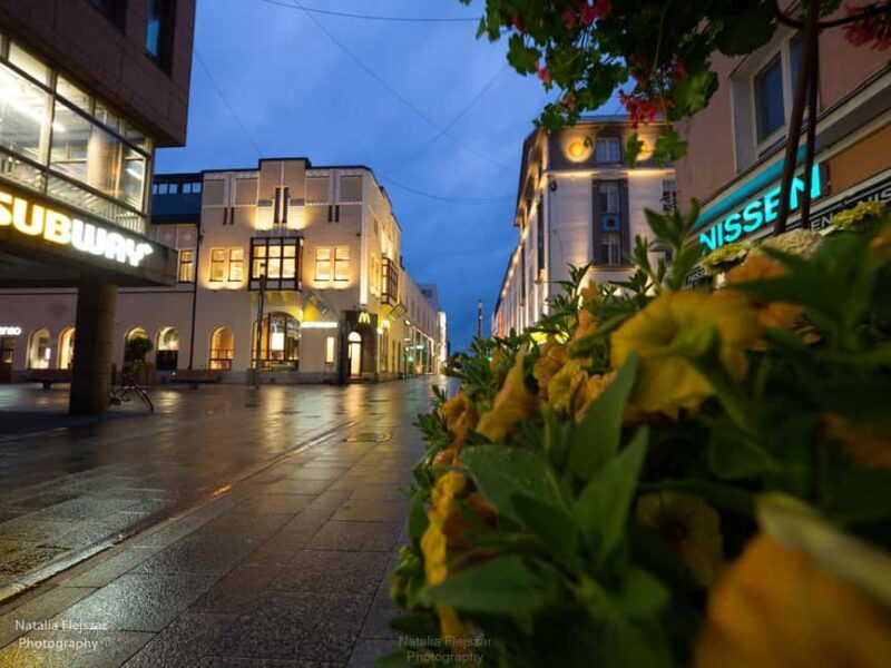 Oulu: Walking Tour. A Deeper, Wilder Exploration of Oulu - Who Will Love This Tour