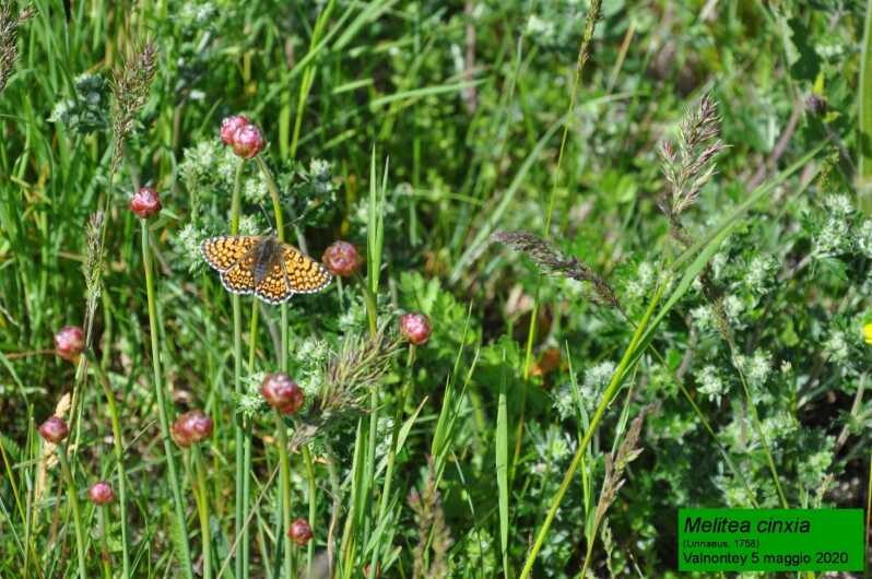 OUR FANTASTIC NATIONAL PARK! - Exploring the Heart of Cogne and Its Surroundings