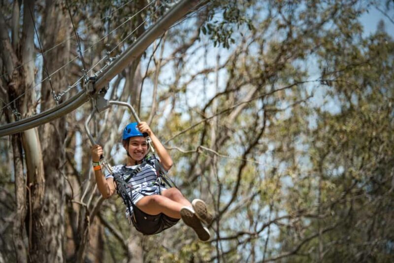 Ourimbah: Central Coast Zipcoaster - An Exciting Overview of the Central Coast Zipcoaster