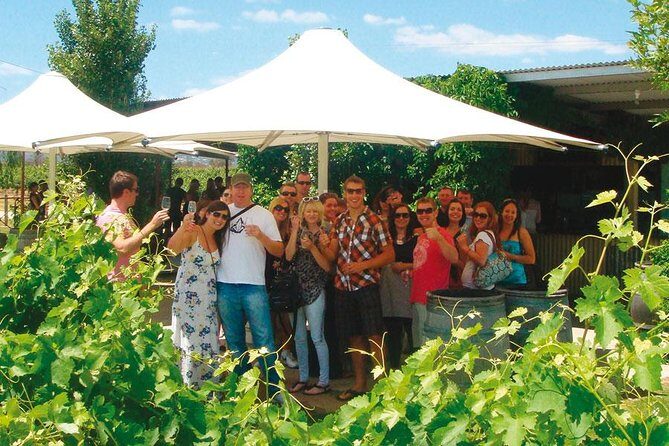 Out For The Afternoon - Half Day of Indulgence in the Swan Valley - Out For The Afternoon - Half Day of Indulgence in the Swan Valley