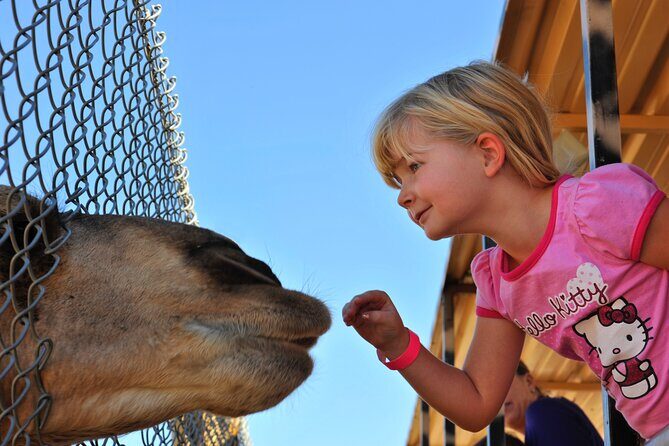 Out of Africa Wildlife Park Admission Ticket - Who Will Love Out of Africa?