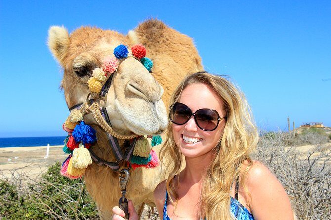 Outback Camel Ride - What to Expect When You Sign Up