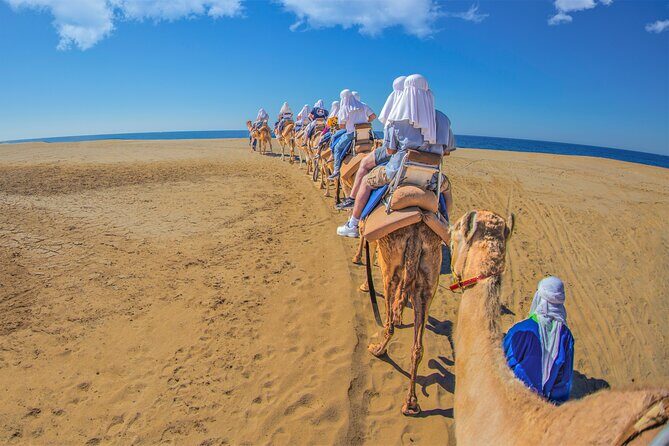 Outback Camel Ride - The Sum Up: Who Should Consider This Tour?