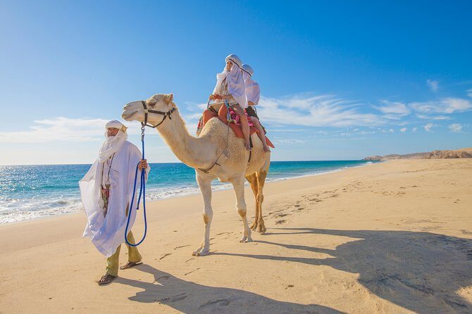 Outback Camel Ride - Frequently Asked Questions (FAQs)