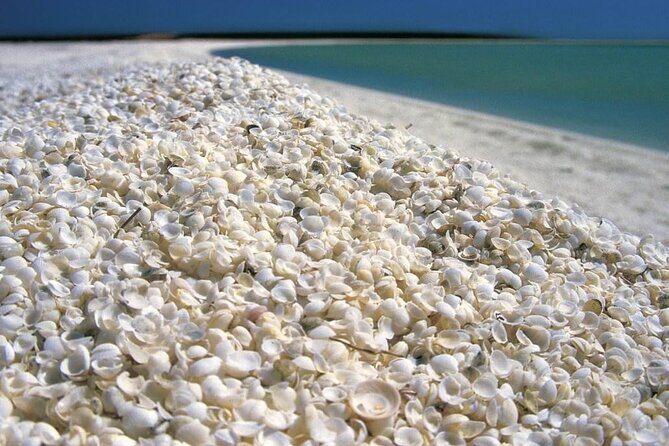 Outback Coast 4 Day Tour - Key Points