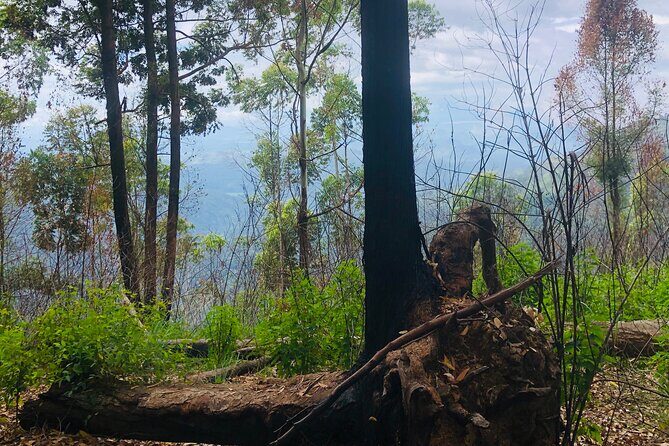 Outdoor and Sightseeing Tour in Ella with Lunch - FAQ: Practical Questions Answered