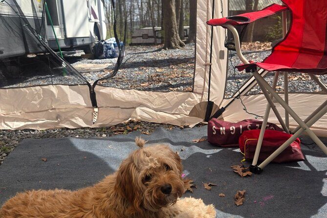 Outdoor Cooking Class Activity with Customizable Recipes - Final Thoughts