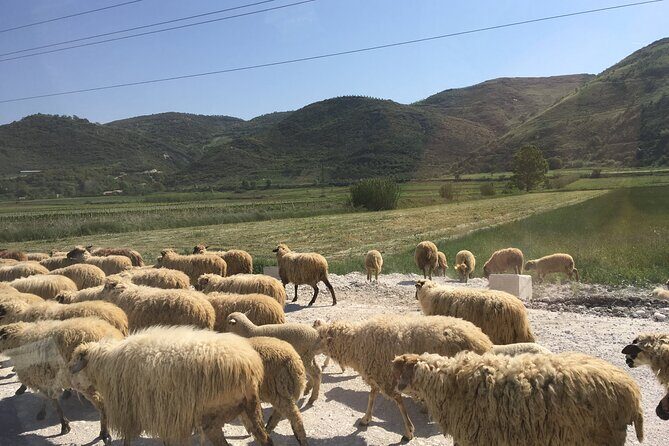 Outdoor Experience in Amantia Archeological Park & Brataj Bidge - An In-Depth Look at the Tour