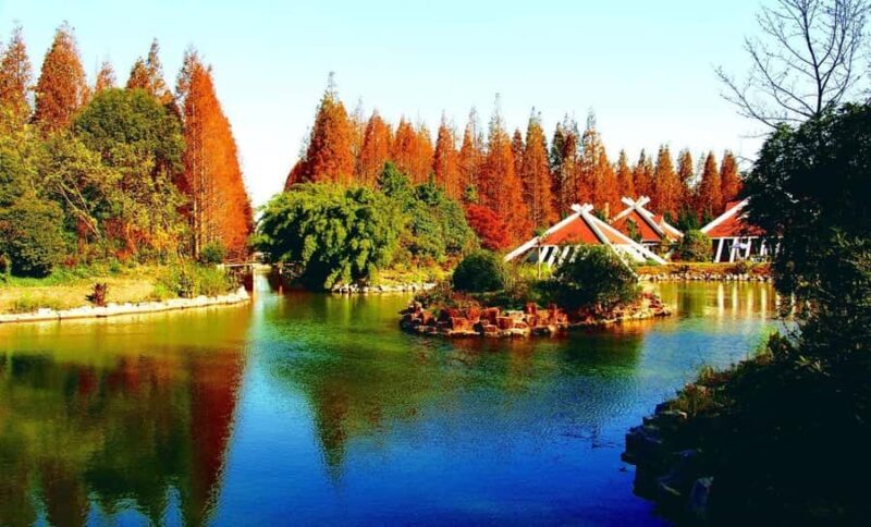 Outdoor Fun in Shanghai: Dongping Park Entry for 2-Person - The Balance of Cost and Value