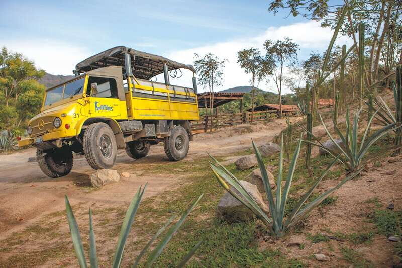 Outdoor Zipline Adventure - Age, Weight, and Health Considerations