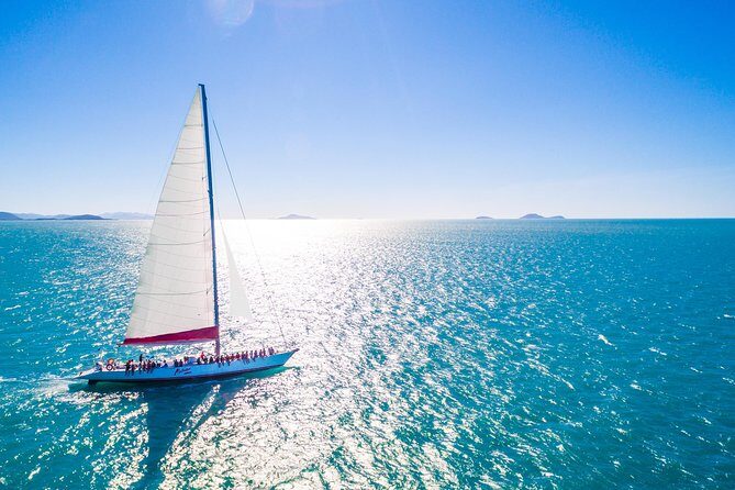 Outer Great Barrier Reef Snorkel Adventure in Airlie Beach - Final Thoughts