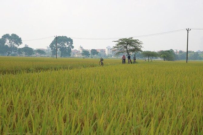 Outskirts Hanoi Cycling Tour Half-Day - Who Should Consider This Tour?