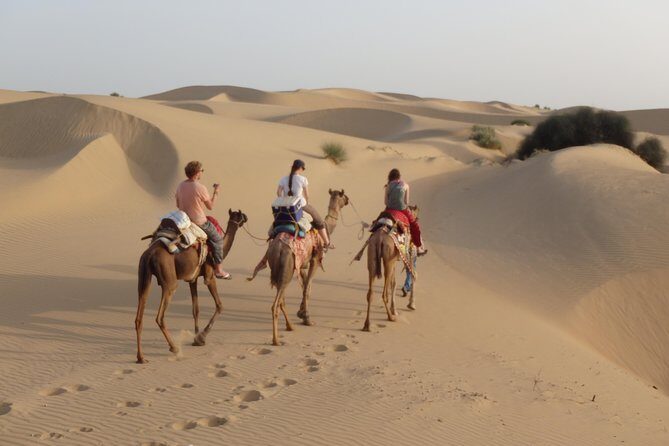 Over Night camel safari non touristic sand dune - Who Is This Tour Best For?