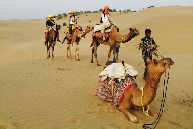 Over Night camel safari non touristic sand dune - FAQ