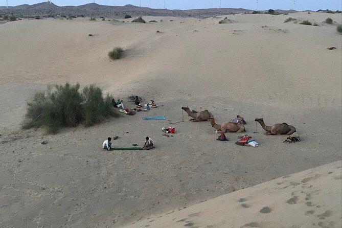 Over Nights Camel Safari Non Touristic 02:30PM - The Next Morning: Sunrise & Return