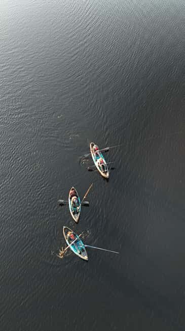 Överkalix, Lapland: Full-Day Kayak Tour and Outdoor Lunch - Overall Impressions