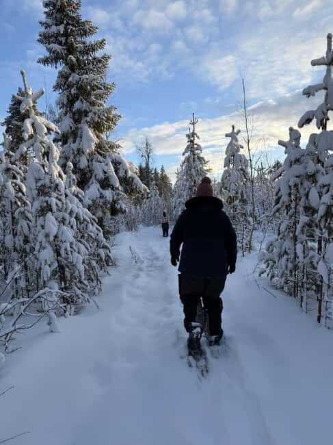 Överkalix - Lapland : Full-Day Snowshoe Tour with Lunch - Exploring the Details of the Tour