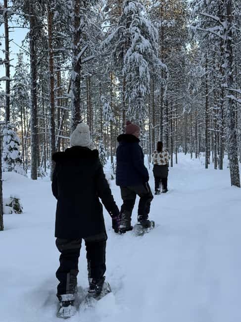 Överkalix - Lapland : Full-Day Snowshoe Tour with Lunch - Practical Details and Considerations