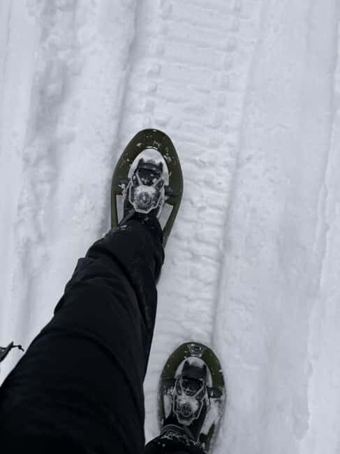 Överkalix - Lapland : Full-Day Snowshoe Tour with Lunch - Who Will Love This Tour?