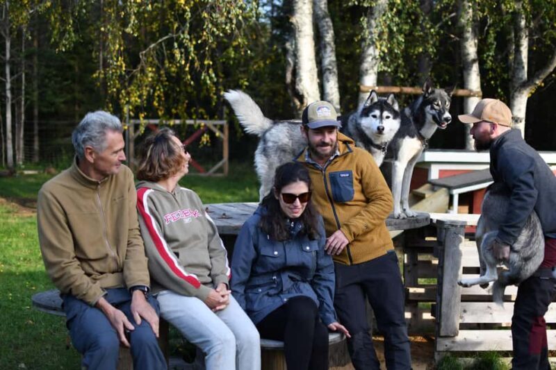 Överkalix - Lapland : Husky Cuddle and Fika Experience - Key Points