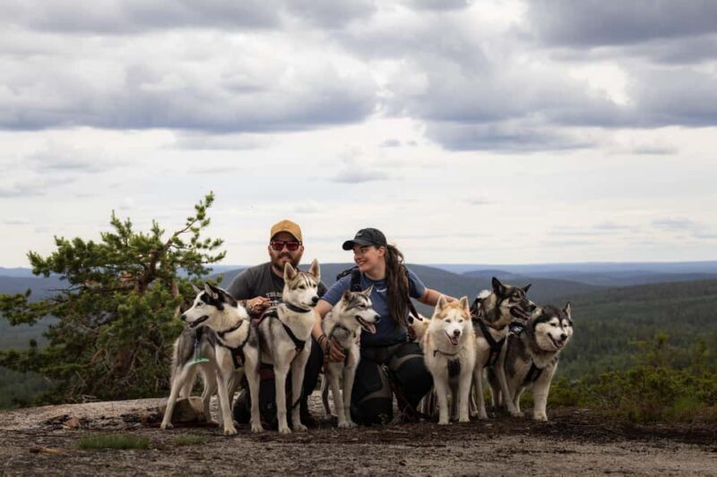 Överkalix - Lapland : Husky Cuddle and Fika Experience - Why This Experience Matters