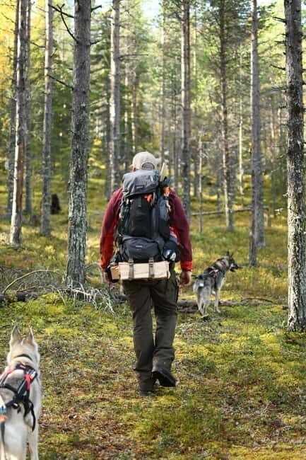 Överkalix - Lapland : Private Summer Hike with Lunch - Key Points
