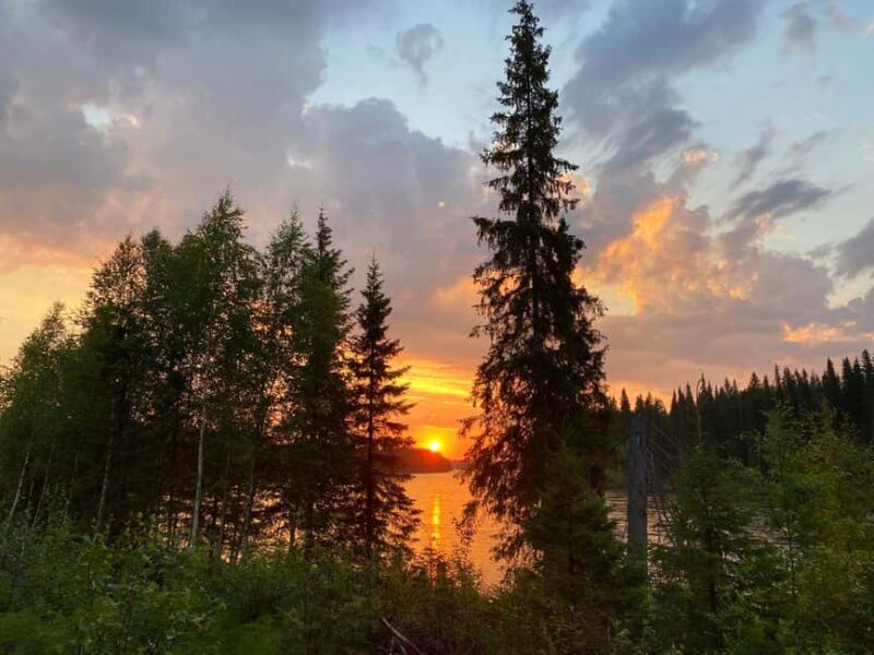 Överkalix - Lapland : Summer Hike and Midnight Sun Dinner - What to Expect on This Lapland Summer Hike
