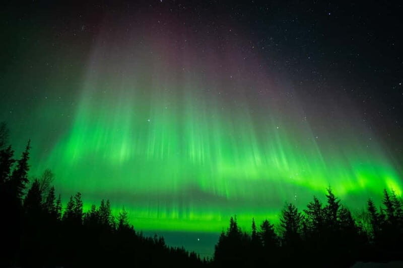 Överkalix: Snowmobile Night Tour with Northern Lights - Key Points