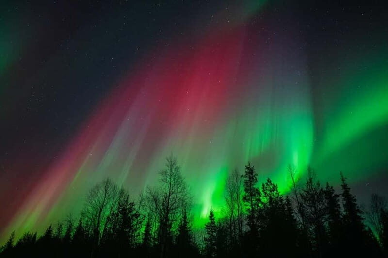 Överkalix: Snowmobile Night Tour with Northern Lights - What Is the Snowmobile Night Tour in Överkalix All About?