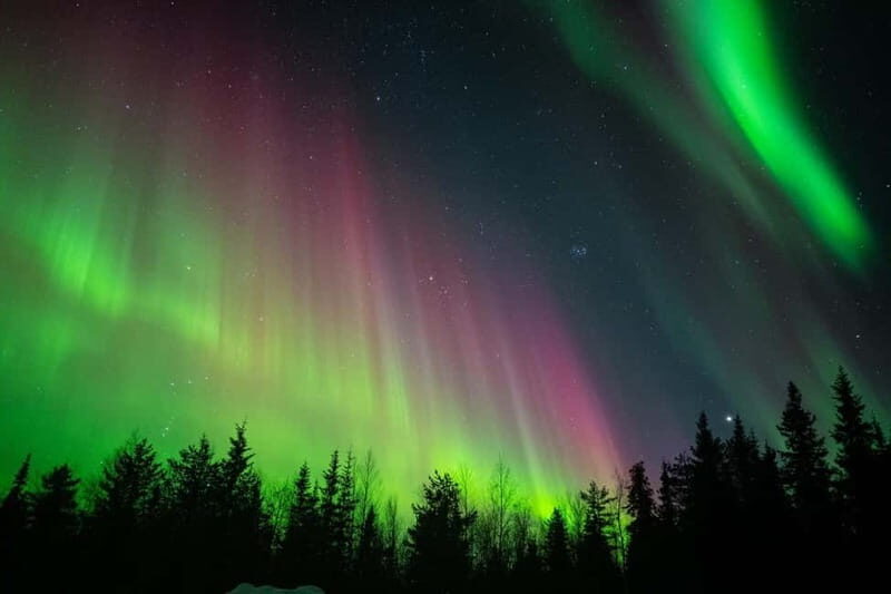Överkalix: Snowmobile Night Tour with Northern Lights - What Past Travelers Say