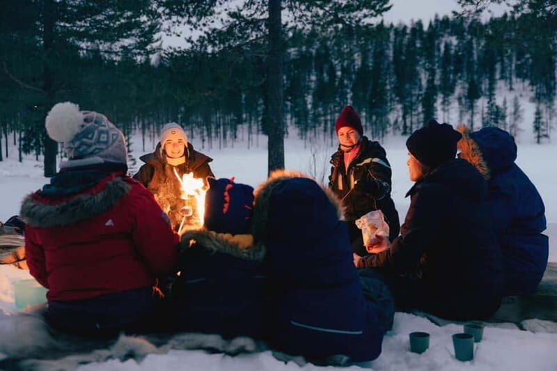 Överkalix: Snowmobile Safari with Lunch and Swedish Fika - Guides and Group Size