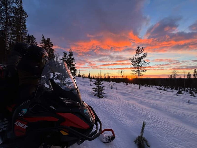 Överkalix: Snowmobile Tour with Fika Break - The Sum Up