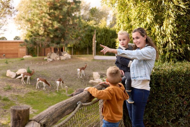 Overloon: ZooParc Entrance Ticket - The Breakdown of the Itinerary