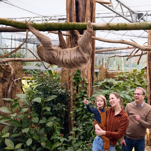 Overloon: ZooParc Entrance Ticket - Authentic Experiences Highlighted by Visitors