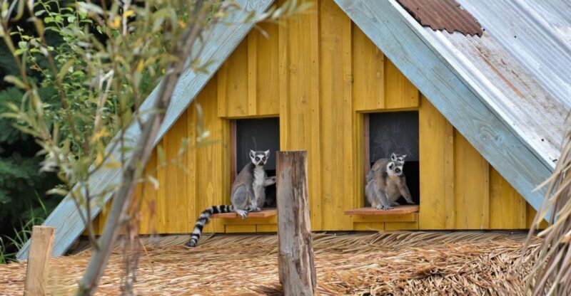 Overloon: ZooParc Entrance Ticket - Practical Tips for Visiting