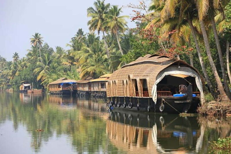Overnight Alleppey Houseboat Cruise Tour (Kerala Beauty) - Introduction: A Scenic Shortcut into Kerala’s Backwaters