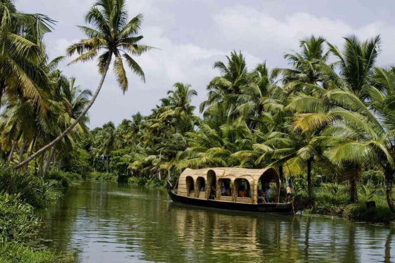 Overnight Alleppey Houseboat Cruise Tour (Kerala Beauty) - The Next Morning: A Gentle Wake-up