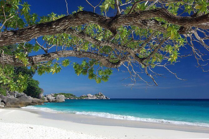 Overnight Angthong Marine Park - The Itinerary: A Closer Look