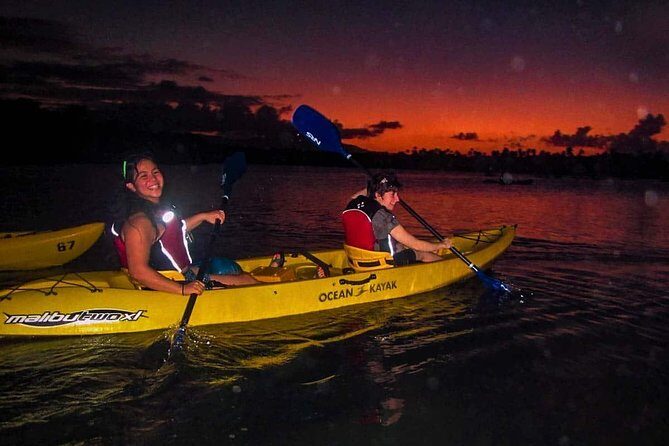 Overnight Bio Bay Kayak Tour in Vieques Island - What You Can Expect on the Tour