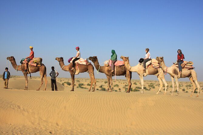 Overnight Camel Safari - A Deep Dive into the Experience