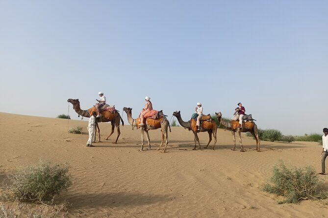 Overnight Camel Safari - Why You Should Consider This Tour