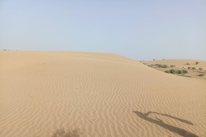 Overnight Camel Safari - Final Thoughts