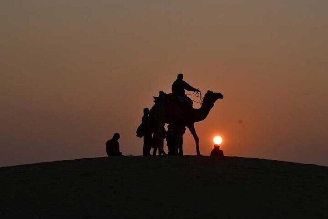 Overnight Camel Safari - An In-Depth Look at the Itinerary