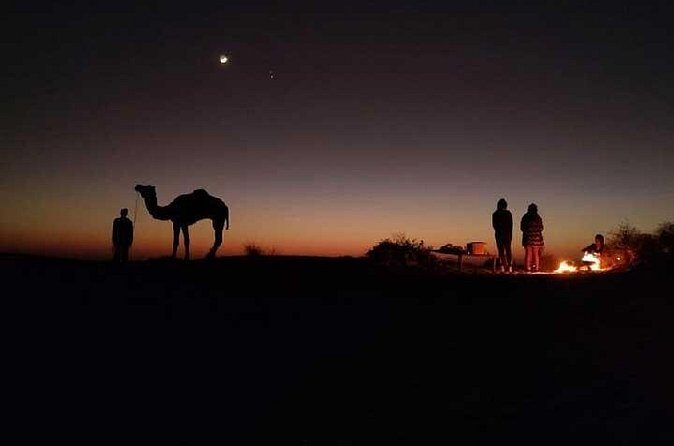 Overnight Camel Safari - Frequently Asked Questions (FAQs)