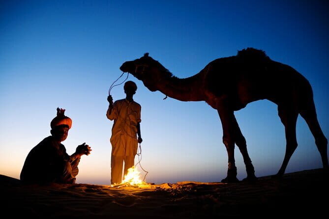 Overnight Camel Safari Tour - A Closer Look at the Tour Experience