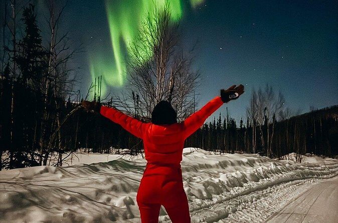 Overnight Denali National Park plus Aurora Chase Tour - The Sum Up