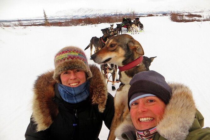 Overnight Dog Sledding Adventure - Analyzing the Value: Is It Worth It?